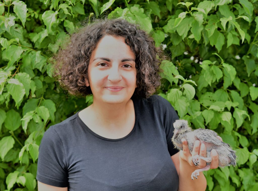 Board – European Association of Avian Veterinarians