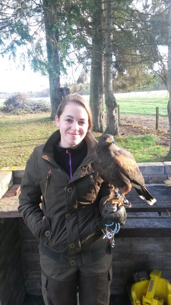 Board – European Association of Avian Veterinarians